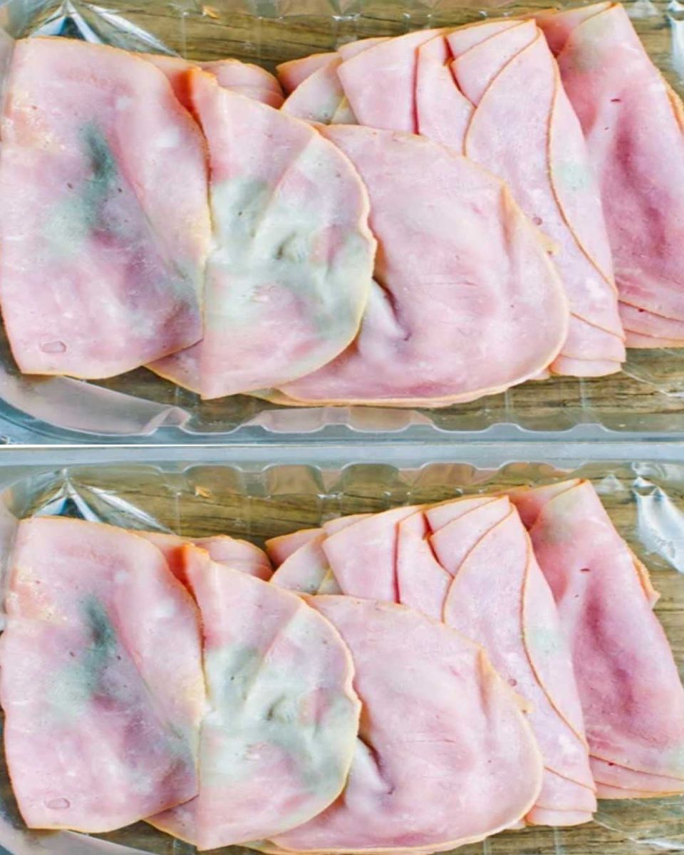 Understanding the Shelf Life of Deli Meat